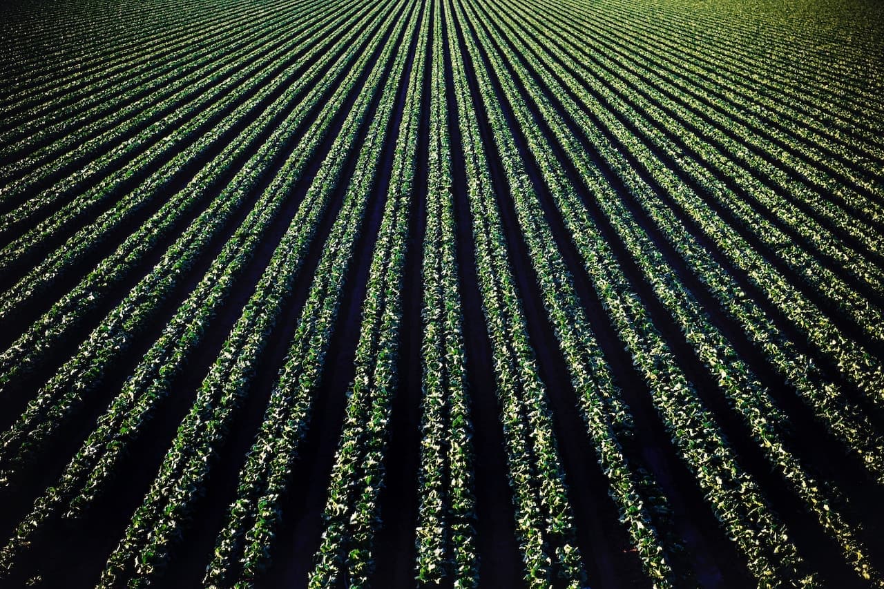 EPA Releases Final Biological Evaluation for Effects of Inpyrfluxam on ...